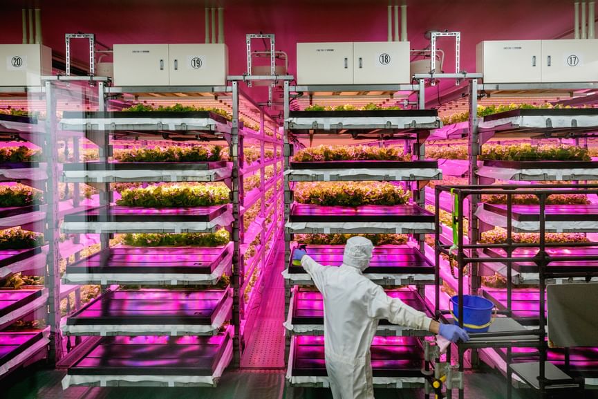 Why vertical farming just doesn't work | Canary Media